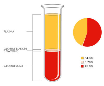 Il sangue - Avis Comunale Brescia